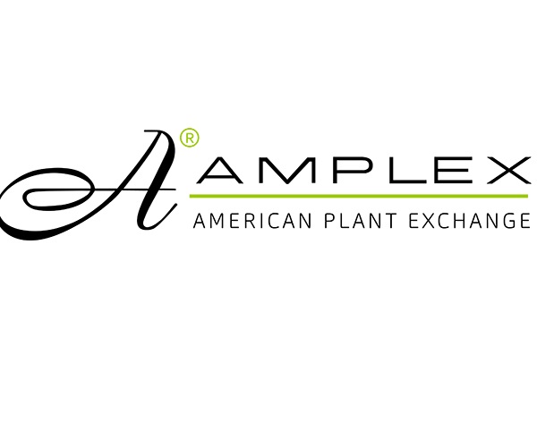 Amplex Wholesale Plant Nursery | Landscape Supplier USA
