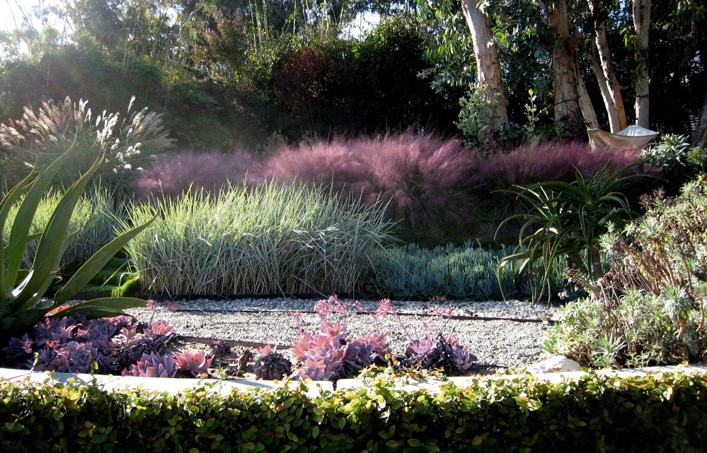 Why Choose South Carolina Native Plants for Your Landscaping Projects?